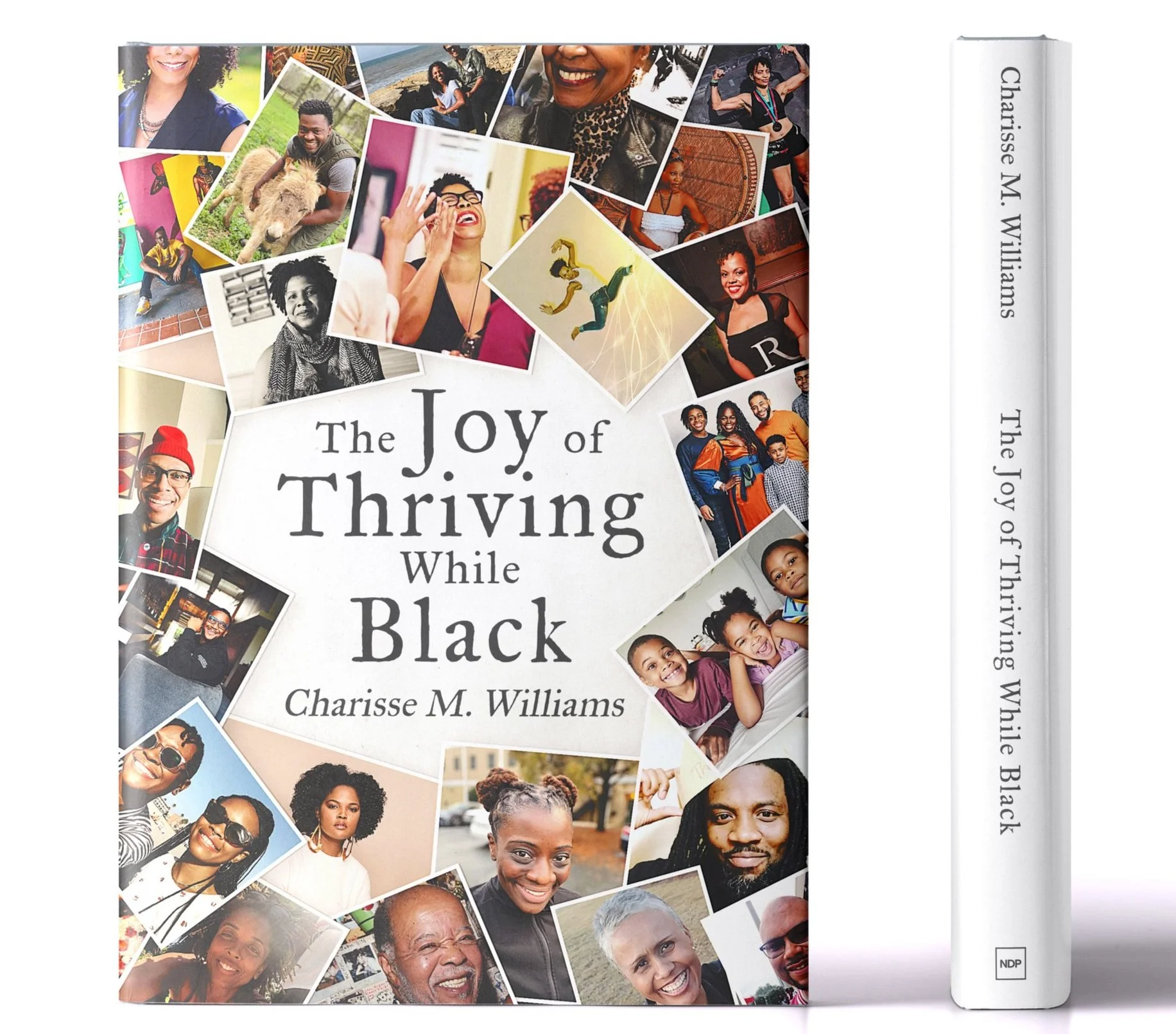 Charisse M. Williams Leadership & Wellbeing Coach | Speaker | Author