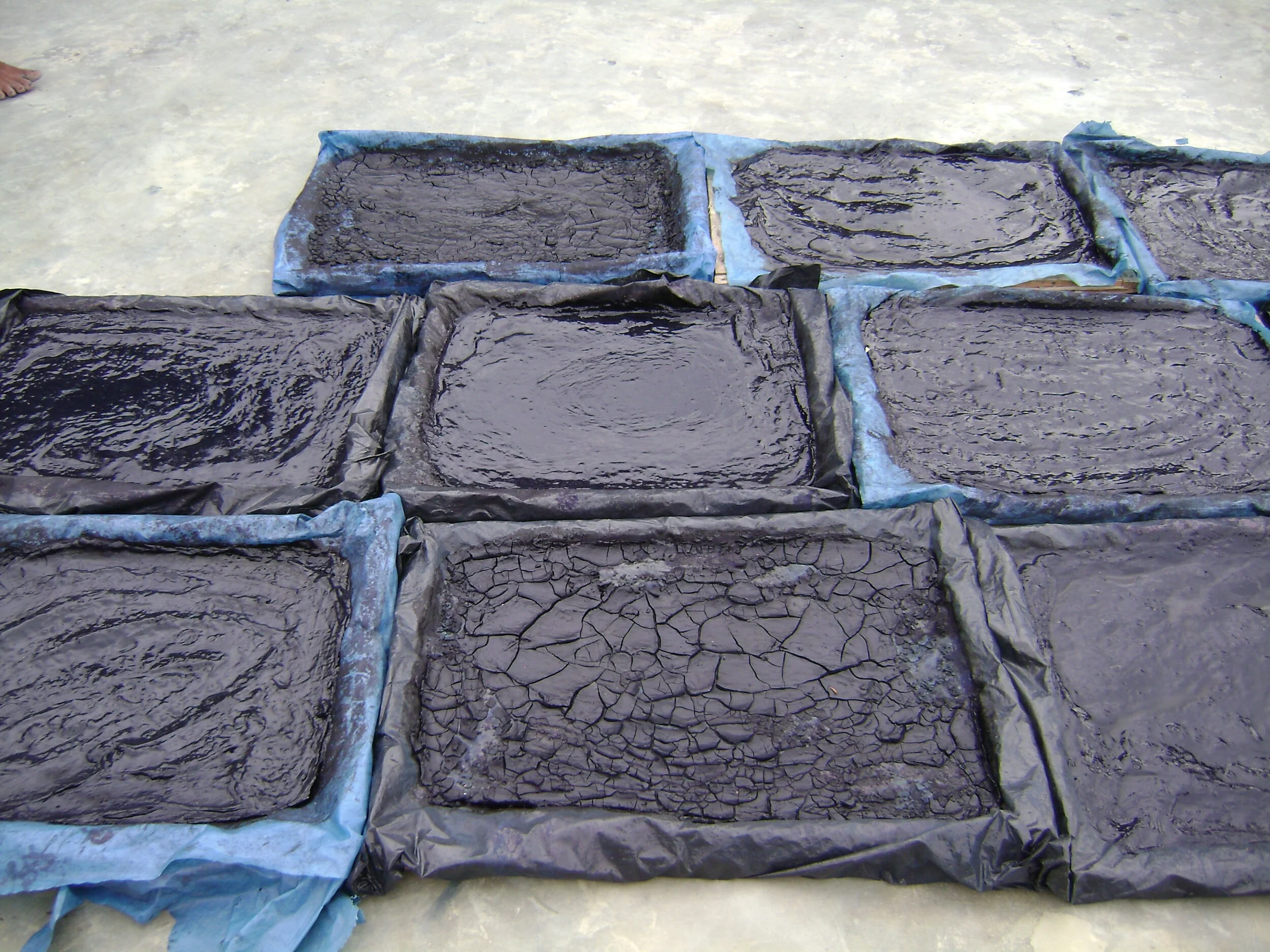 Blue Alchemy: Stories of Indigo — New Deal Films