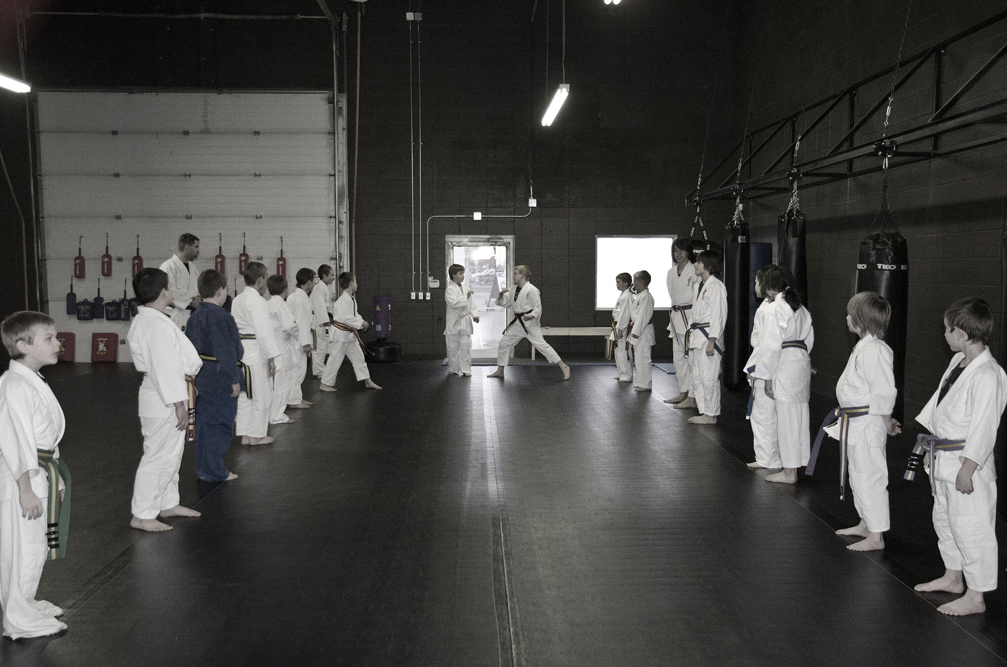 Home — Alberta Jiu-Jitsu Asssociation