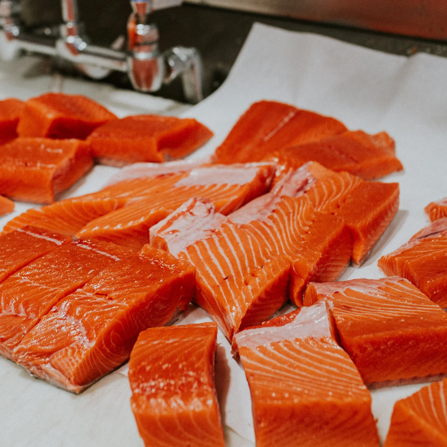 COPPER RIVER SALMON SEASON IS HERE