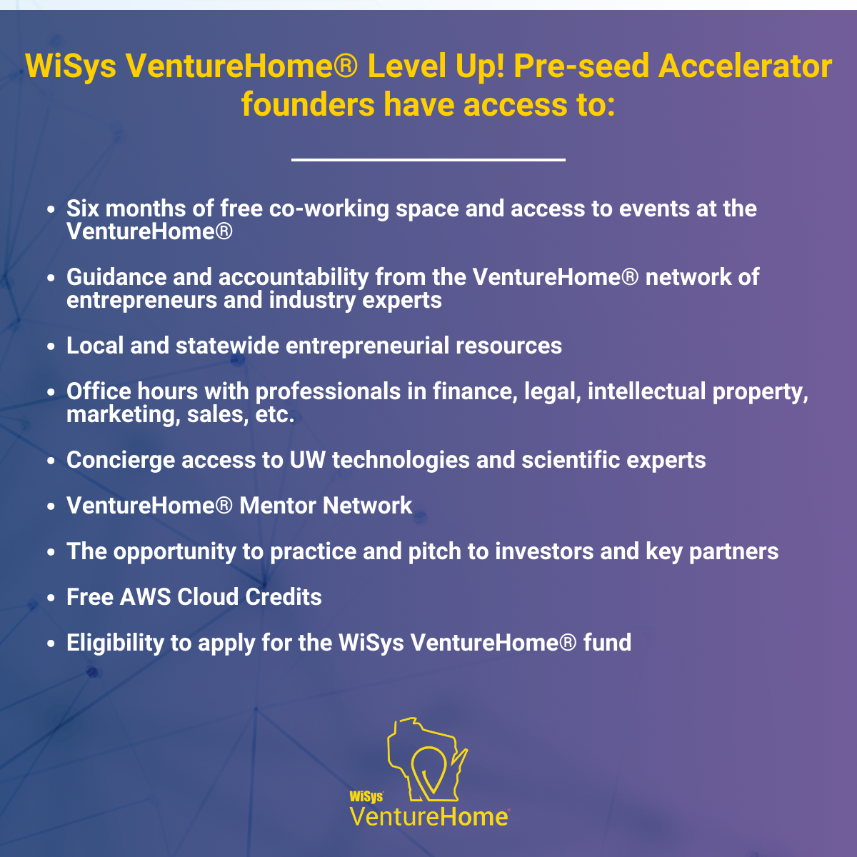 Level Up! Pre-Seed Accelerator — WiSys VentureHome