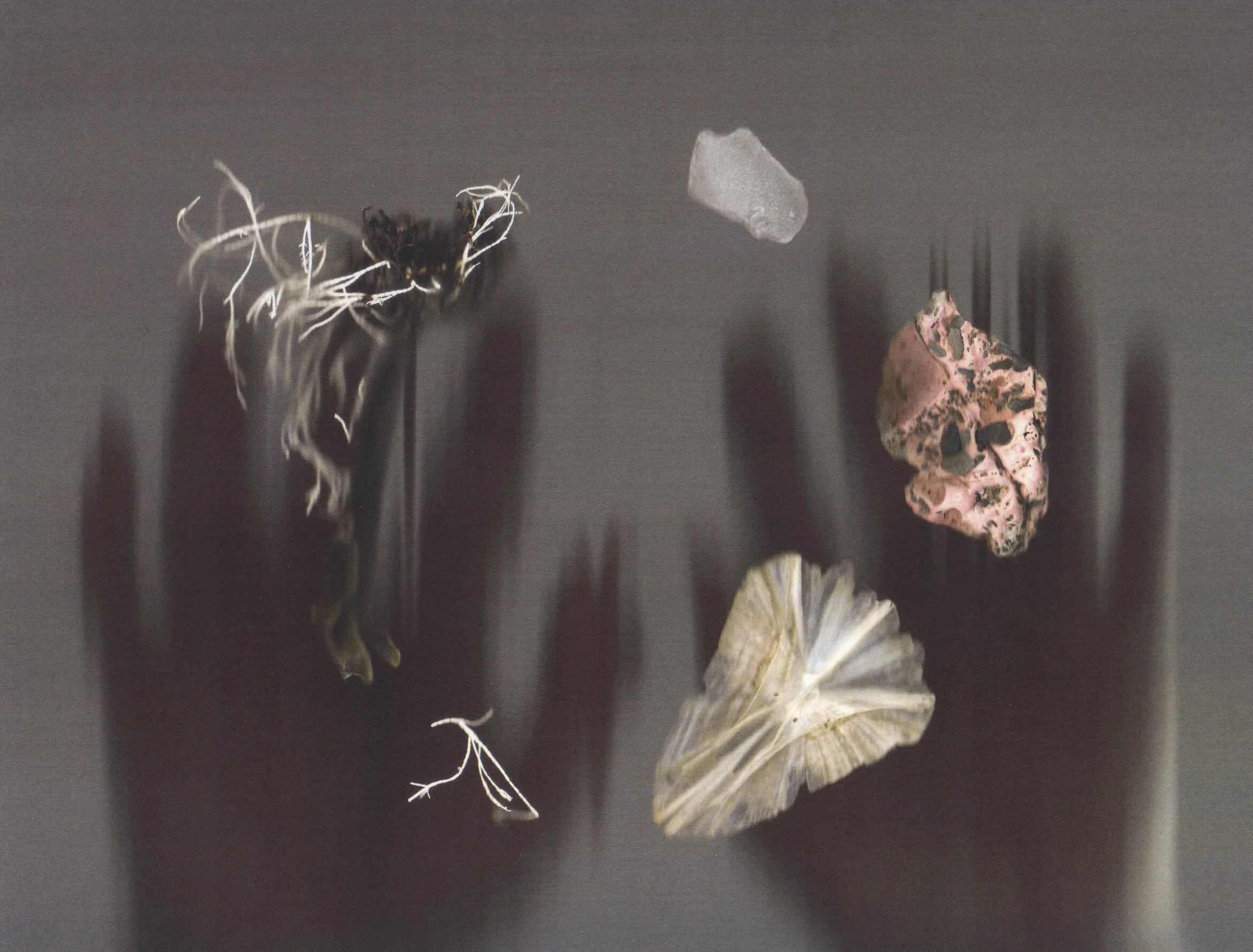 artwork — daze jefferies