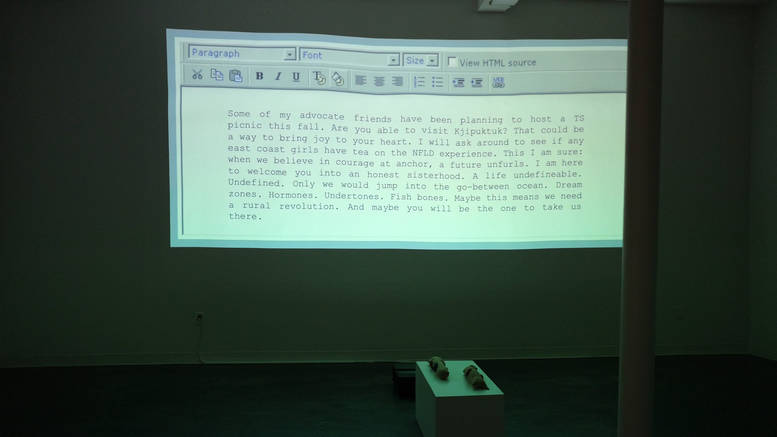 dream zones hormones undertones fish bones (2022-2023) — daze jefferies