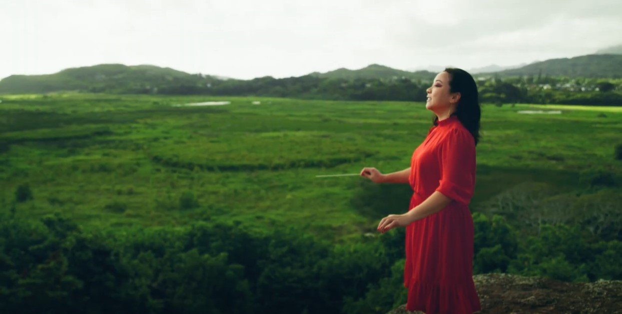 Ad 2 Hawaii