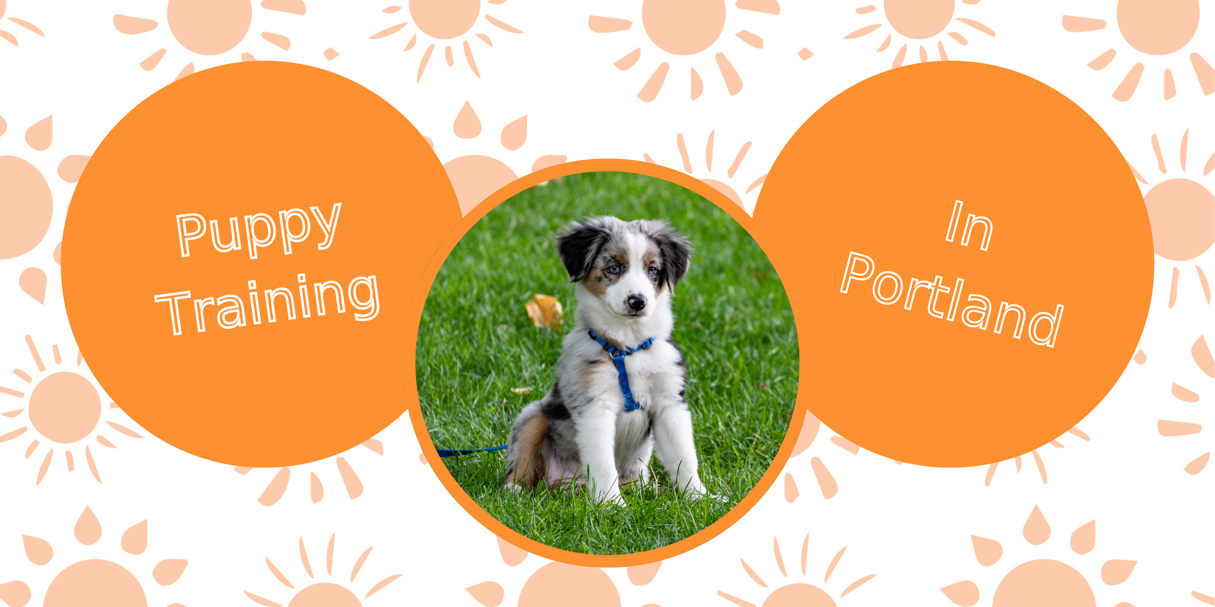 How to Socialize Your Puppy in Portland, Oregon - Urban Pawsibilities