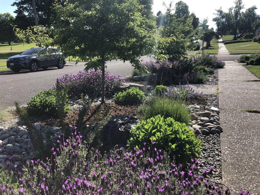 Design Portfolio — Sue Goetz