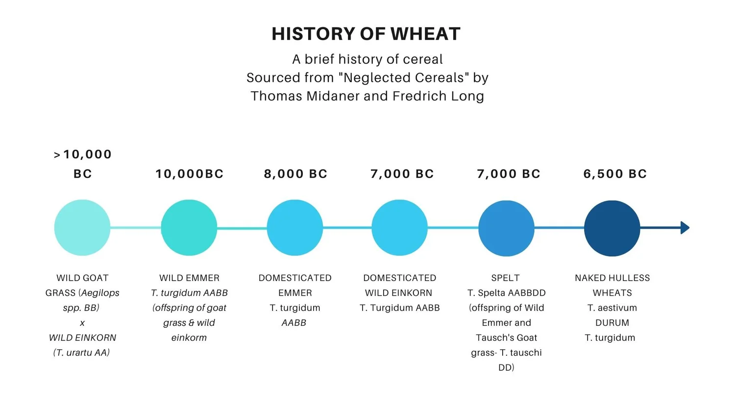 The Grain Project /Evelyn's Crackers