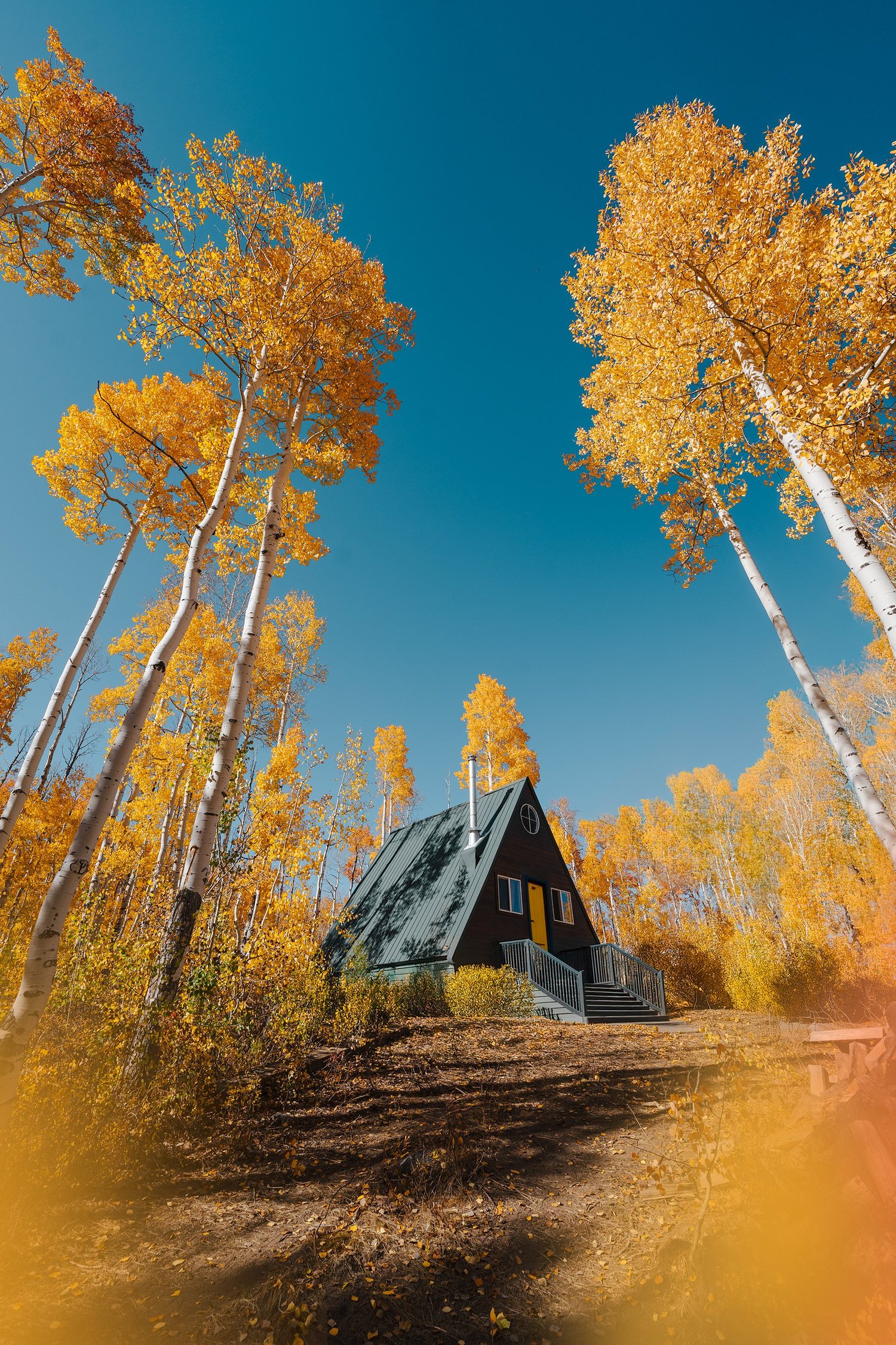Utah Fall Colors: 7 Best Spots (Local's Guide) — Karlie Place