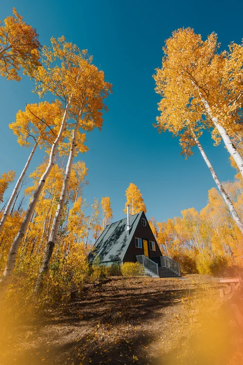 Utah Fall Colors: 7 Best Spots (Local's Guide) — Karlie Place