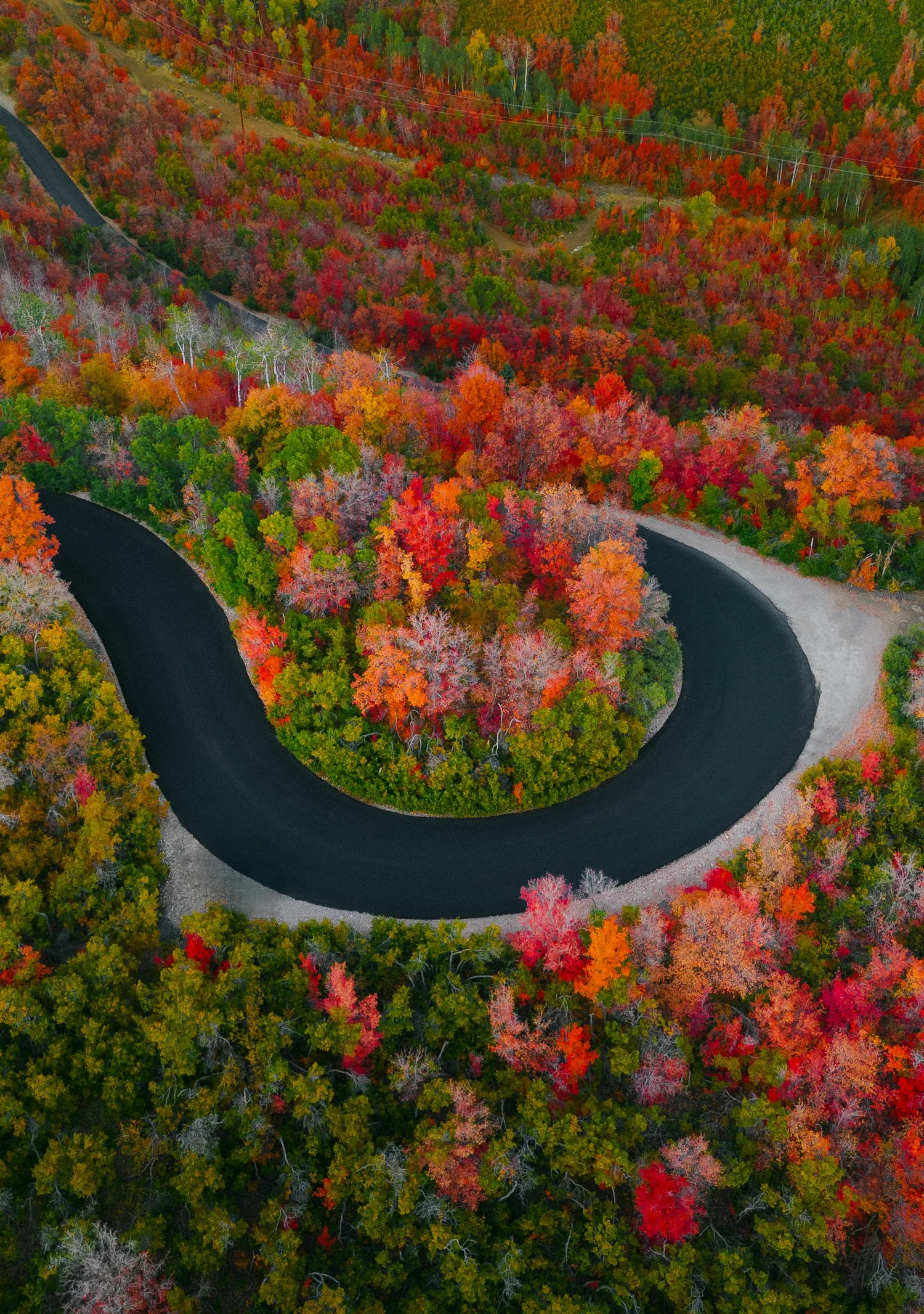 Utah Fall Colors: 7 Best Spots (Local's Guide) — Karlie Place