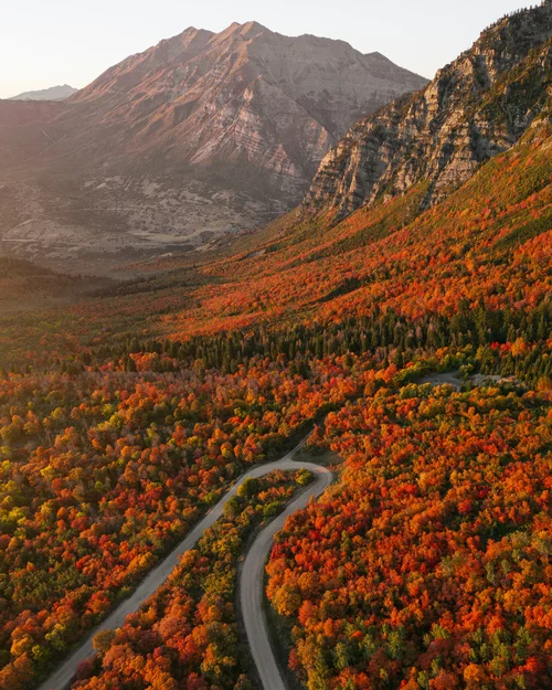 Utah Fall Colors: 7 Best Spots (Local's Guide) — Karlie Place