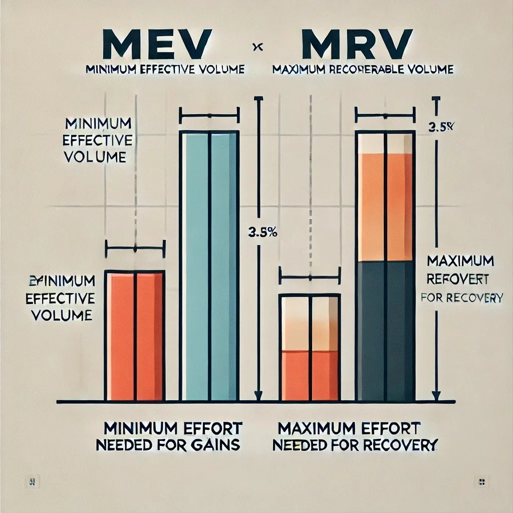 Understanding MEV and MRV: A Guide to Smarter Strength Training — Peak ...