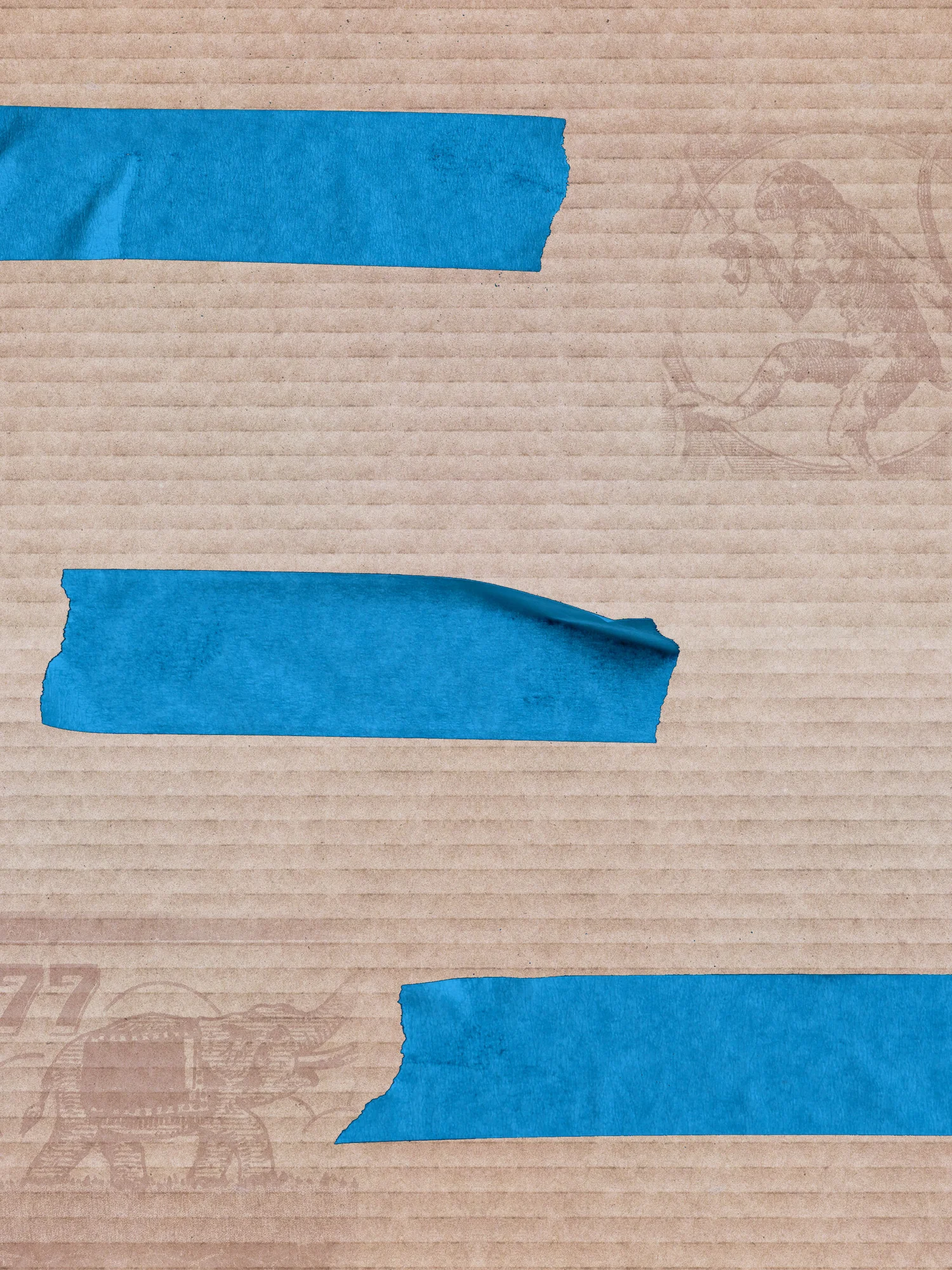 LS Portland — Little Sister