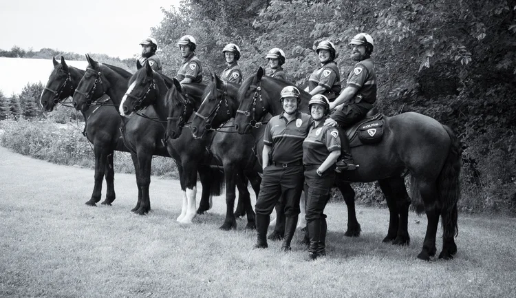 Madison Mounted Horse Patrol