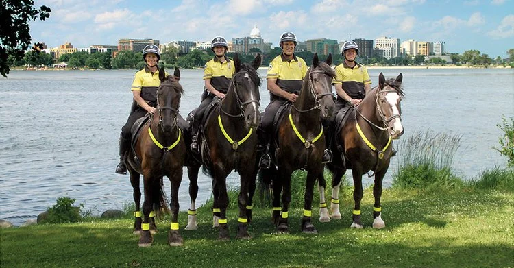 Unit History — Madison Mounted Horse Patrol