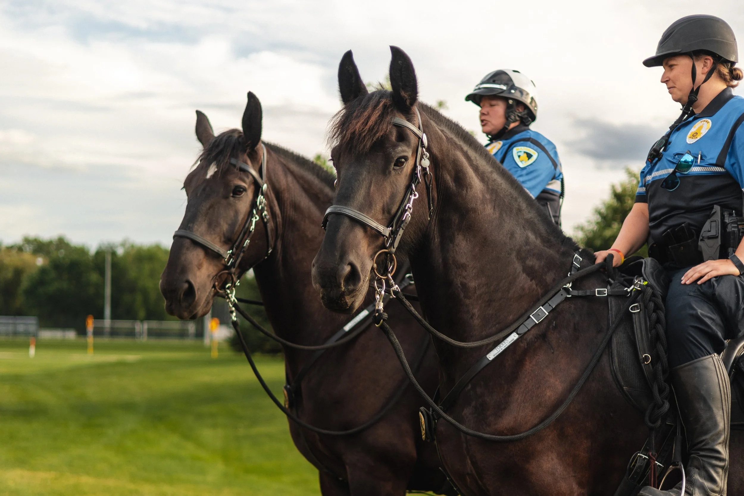 Unit History — Madison Mounted Horse Patrol