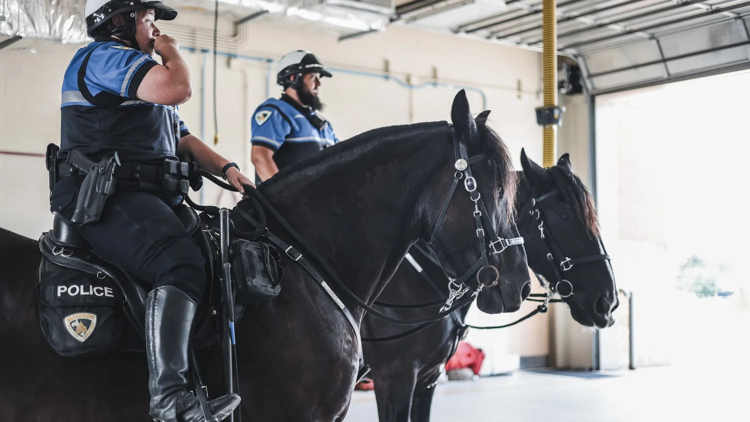 Officers — Madison Mounted Horse Patrol