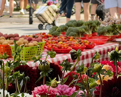 Chicago Farmers Markets 2026: Guide to Every Neighborhood — Sage Haus