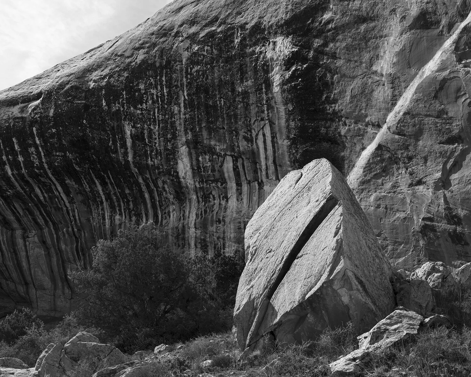 Current Artists — eye lounge