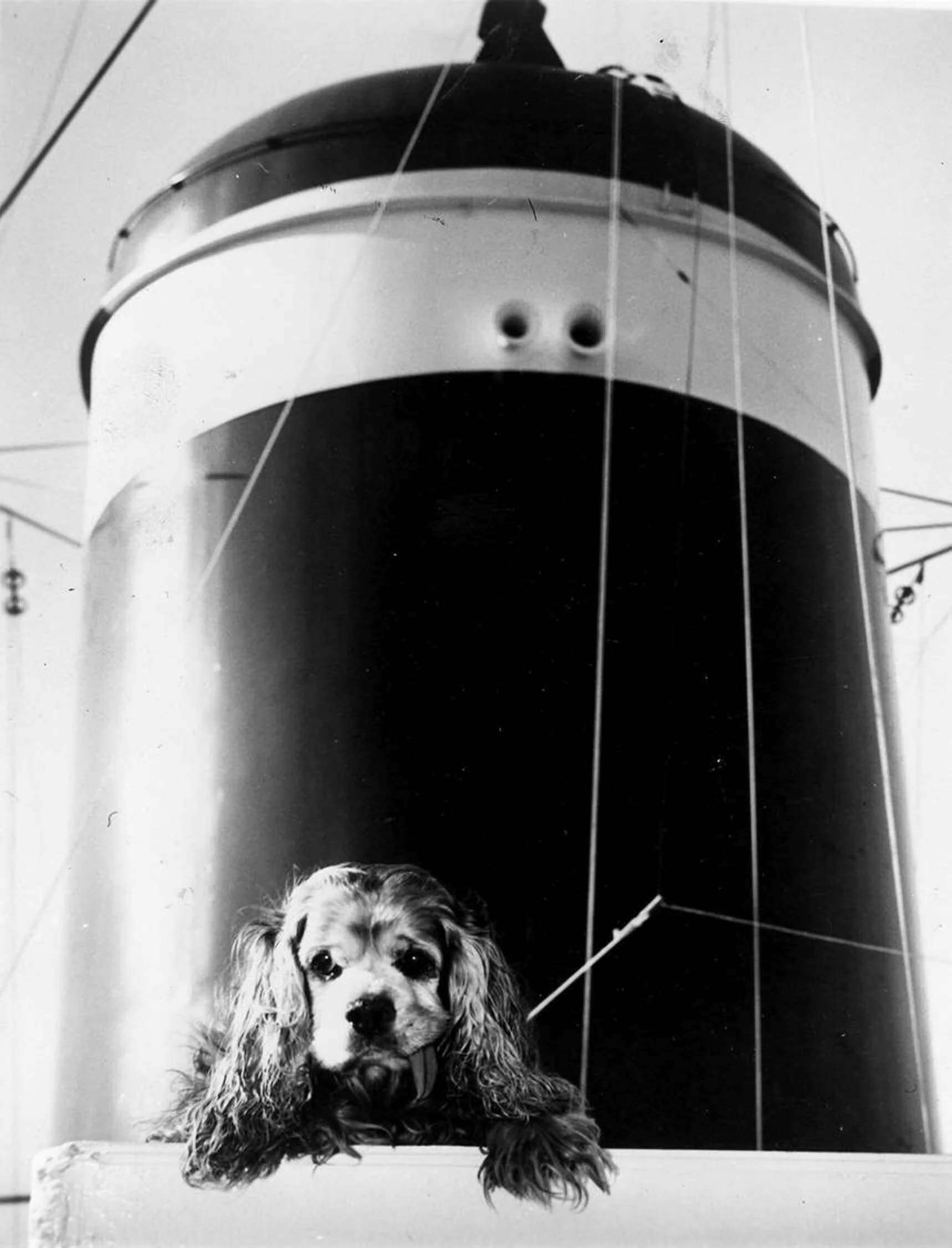 The Ship — SS United States Conservancy