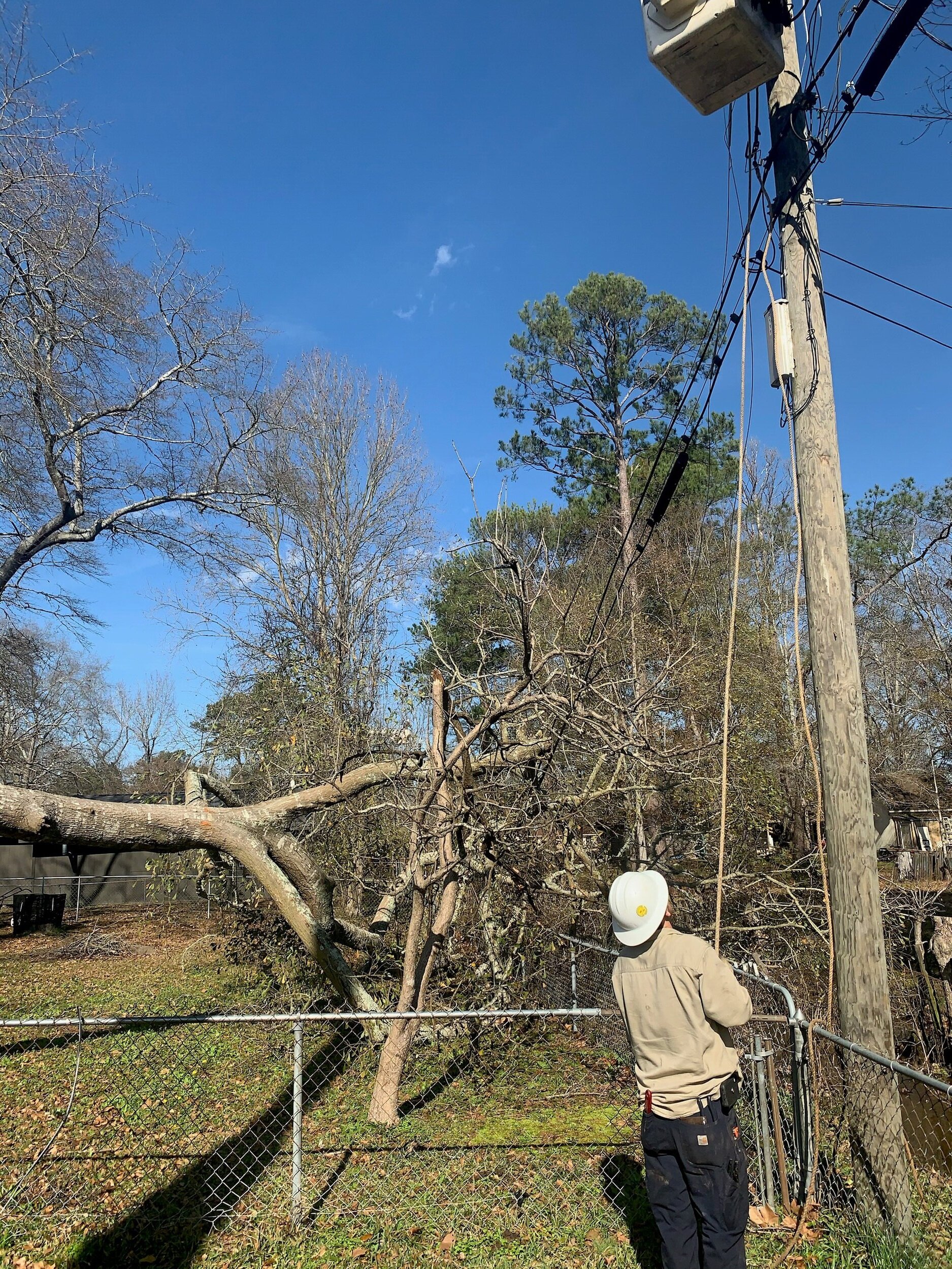 Our Work — Petty Line