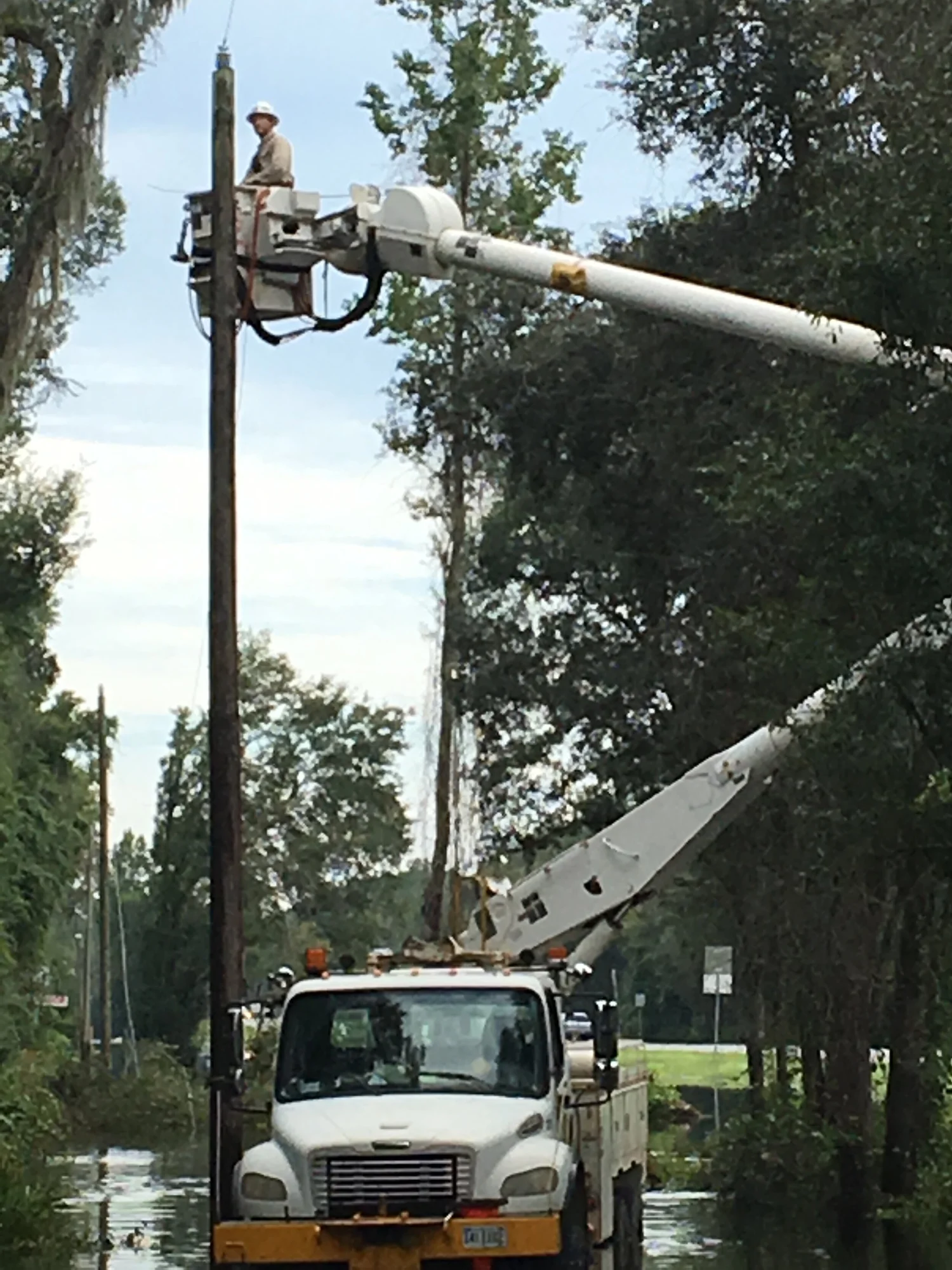 Our Work — Petty Line