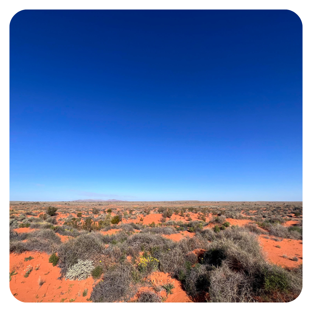 Community First Development