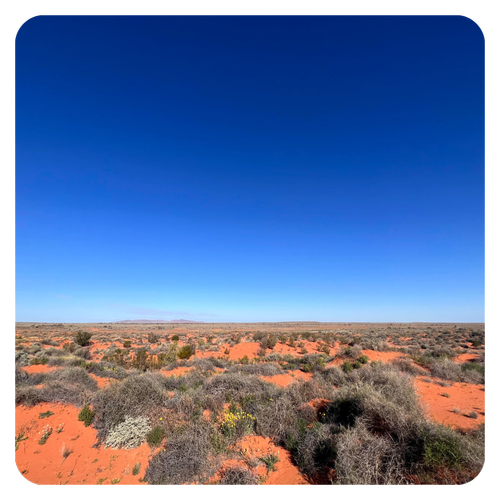 Community First Development