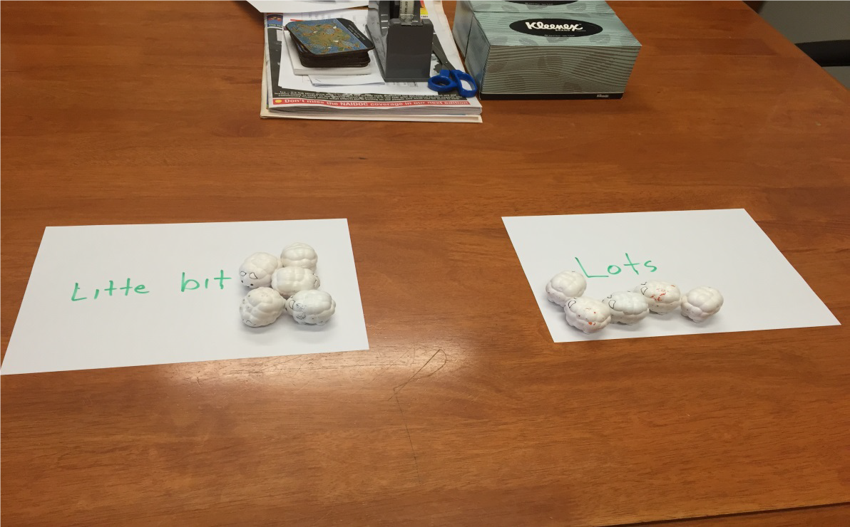 The Ten Seed Technique — Community First Development