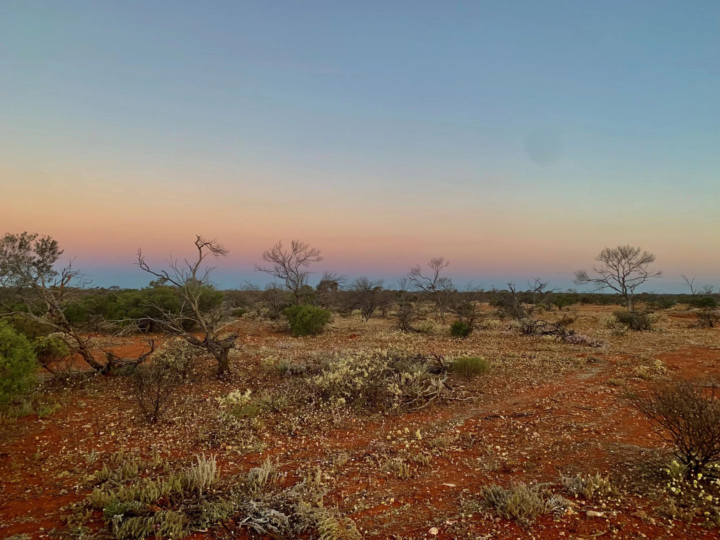 Indigenous Data Sovereignty — Community First Development