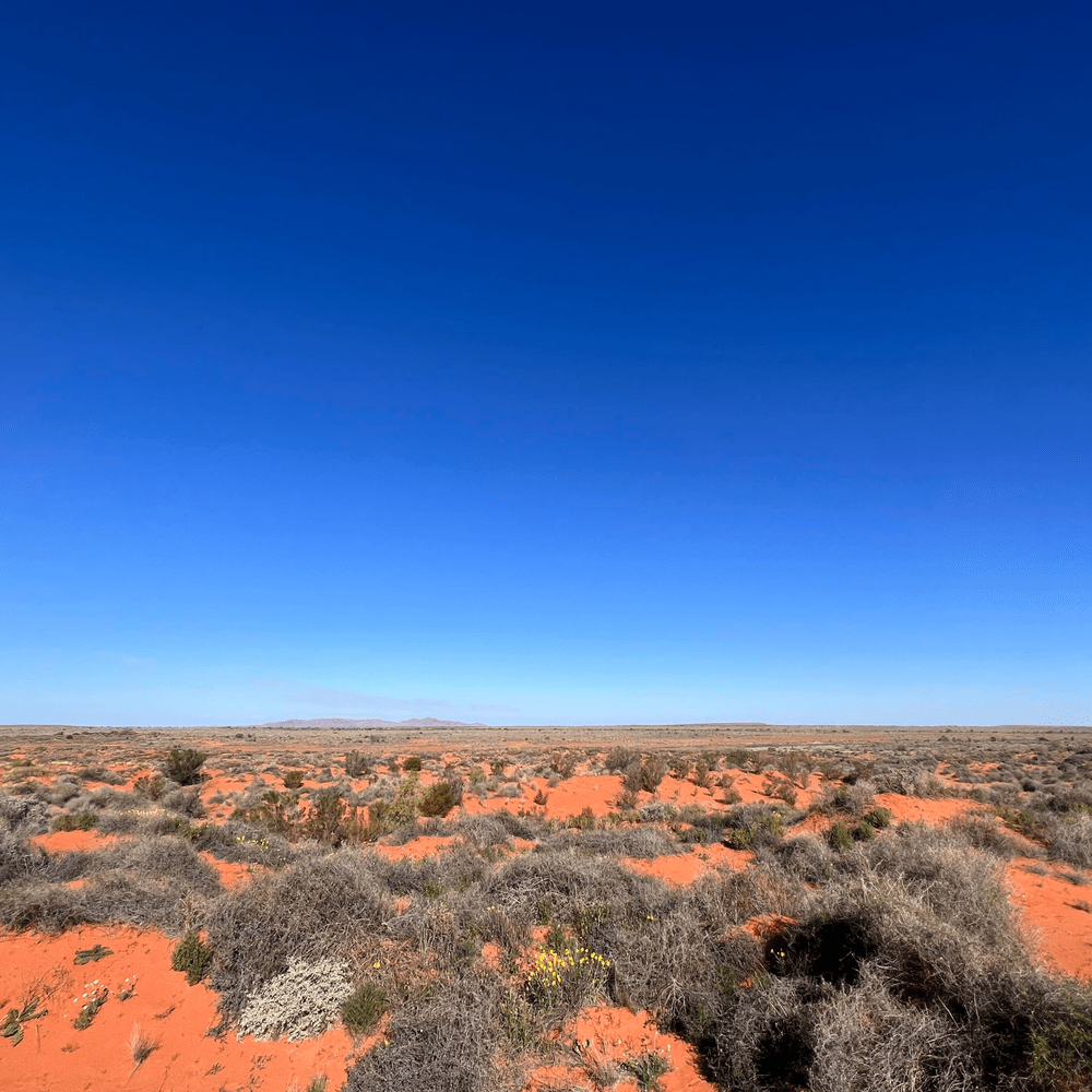 Community First Development