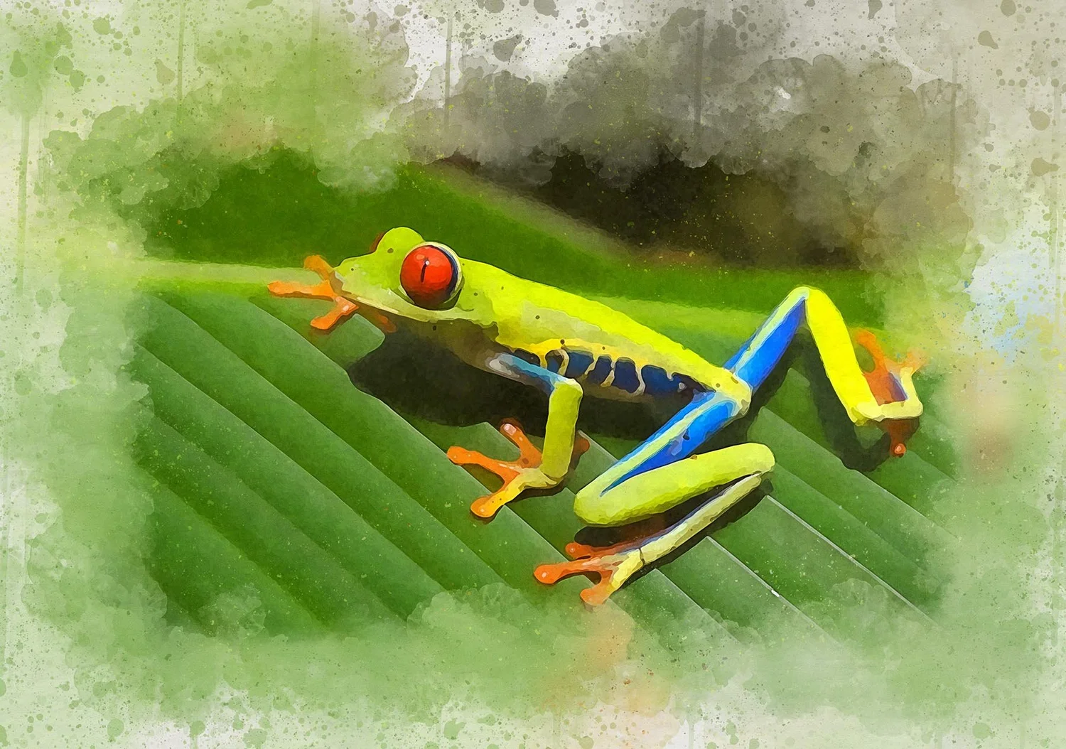 Red Tree Frog With Leaf