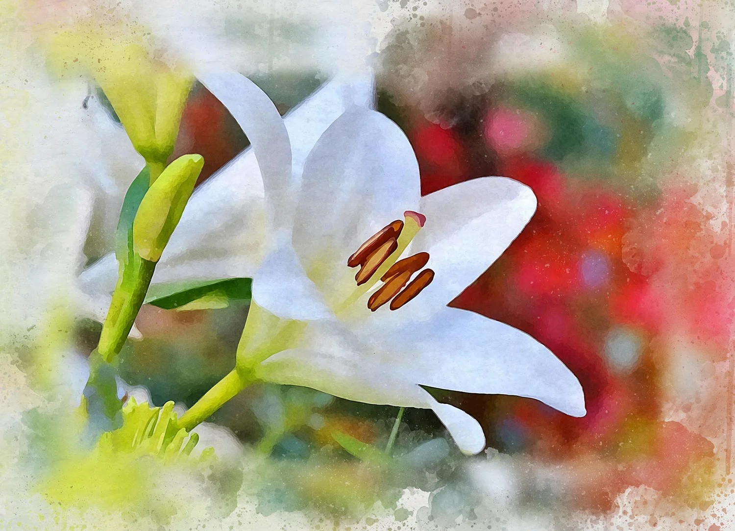 White Lily Painting