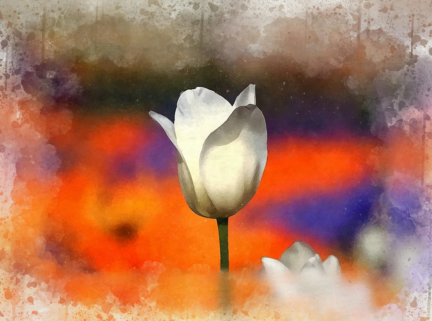 Tulip Flower Painting