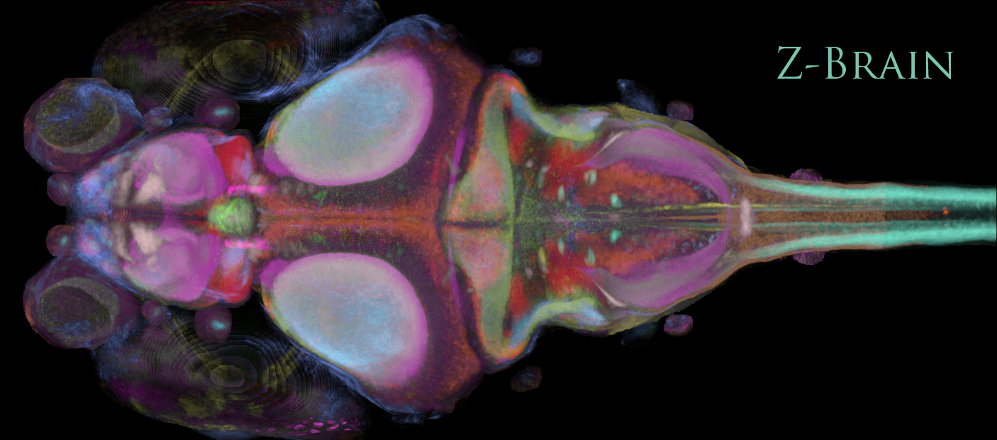 Resources — Randlett Lab