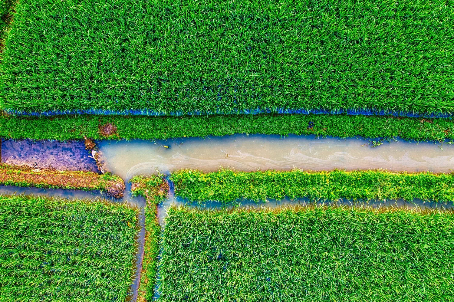 The Coca-Cola Company Unveils 2030 Water Security Strategy — CSR Europe