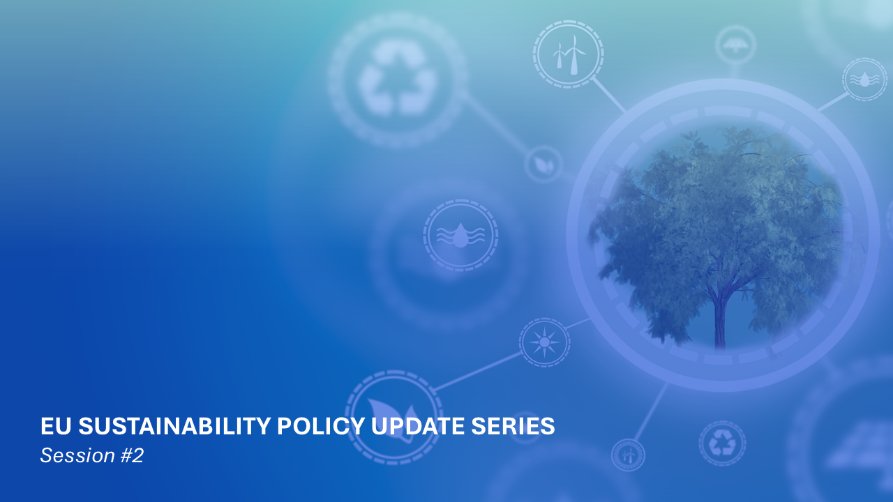 The European CSO Network's 2025 Activities — CSR Europe