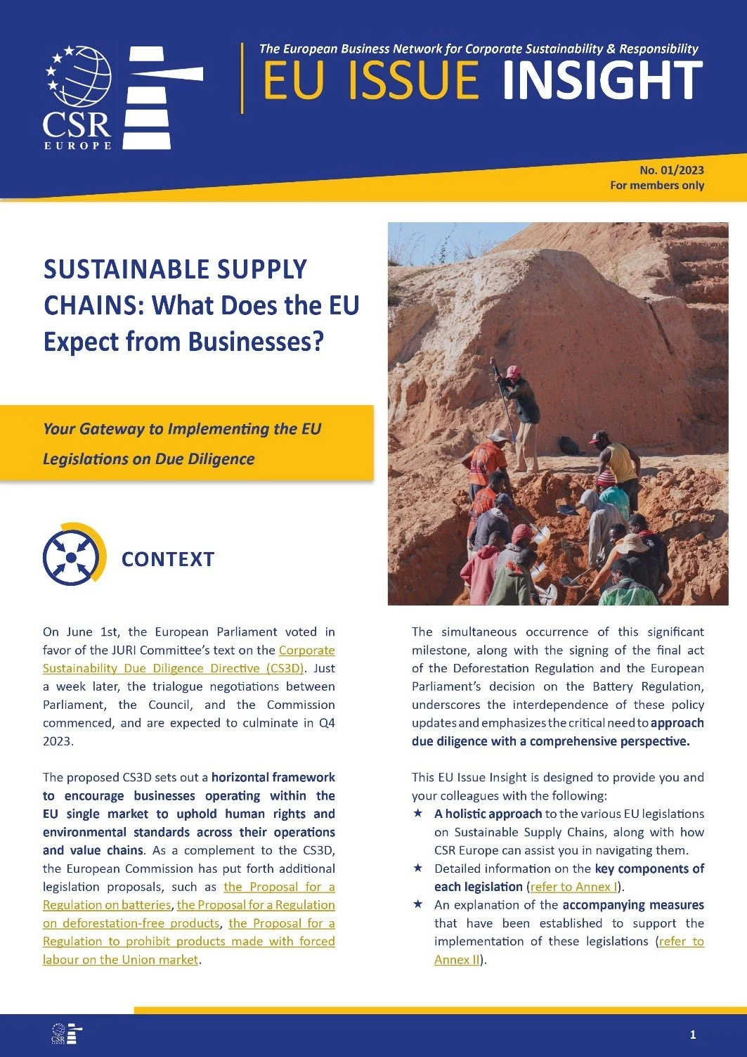 Learning & Implementing Activities — CSR Europe