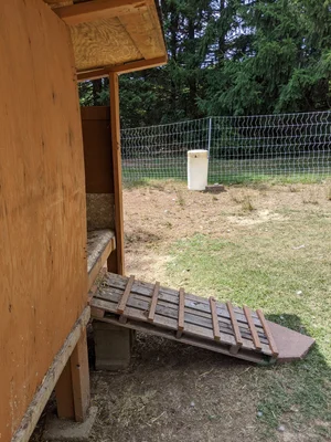Building a Duck house - DIY — Tejas Farm