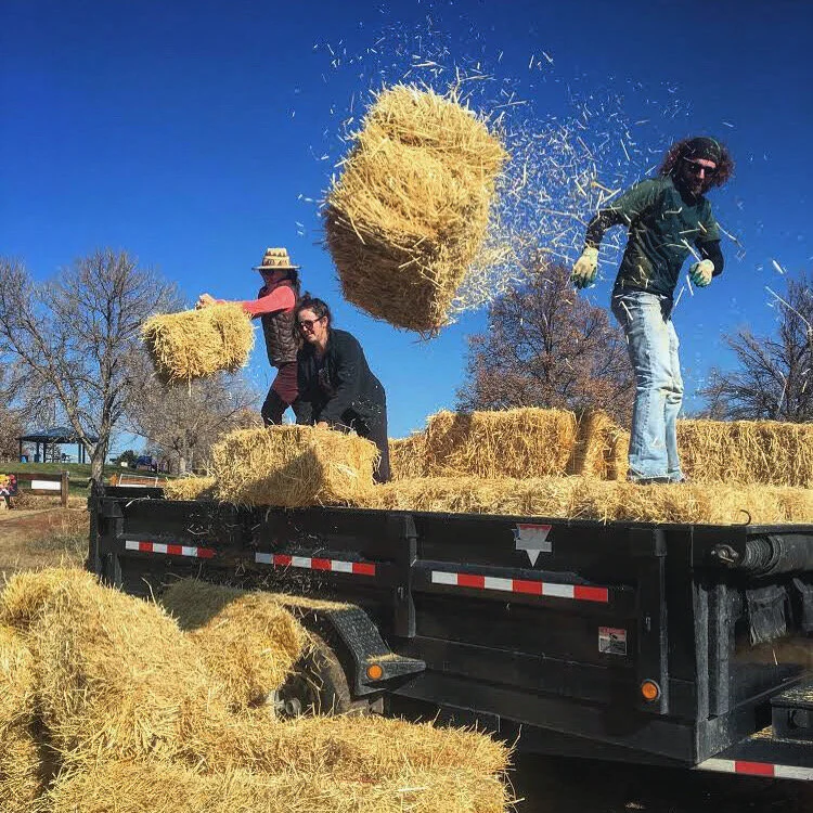 Volunteer — Sprout City Farms