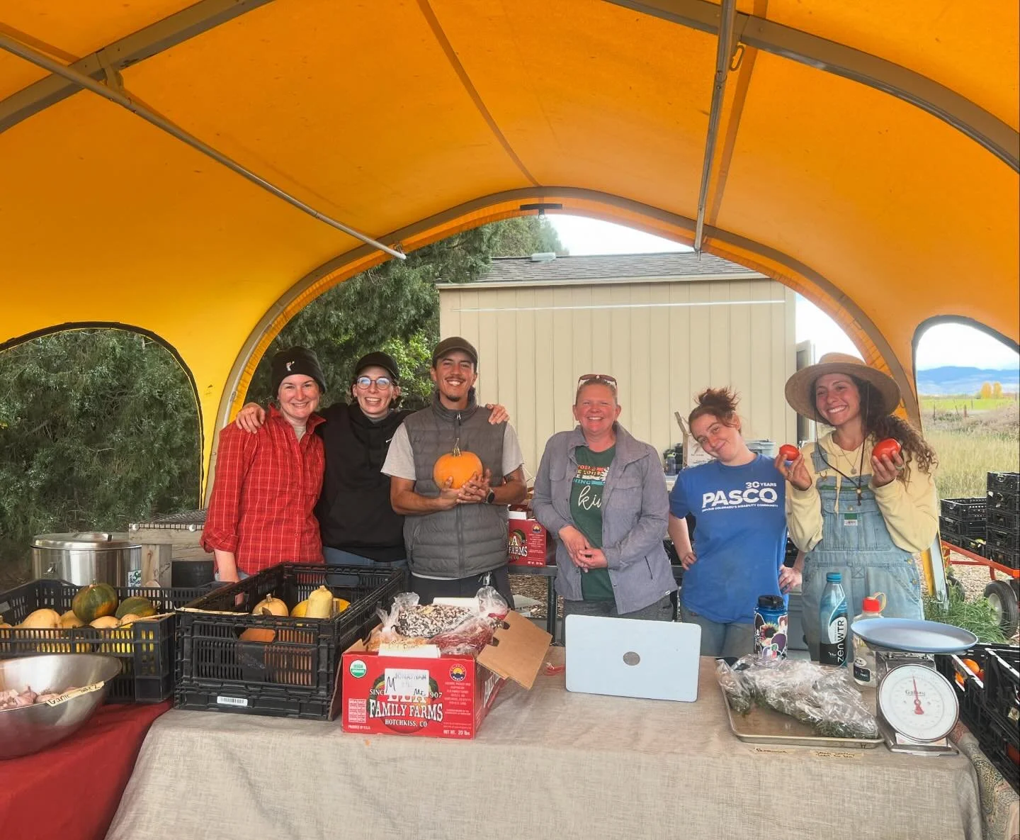 Volunteer — Sprout City Farms