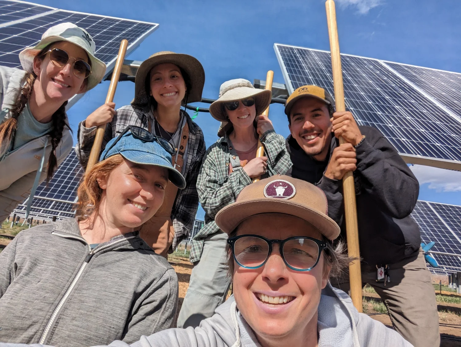 Jack's Solar Farm — Sprout City Farms