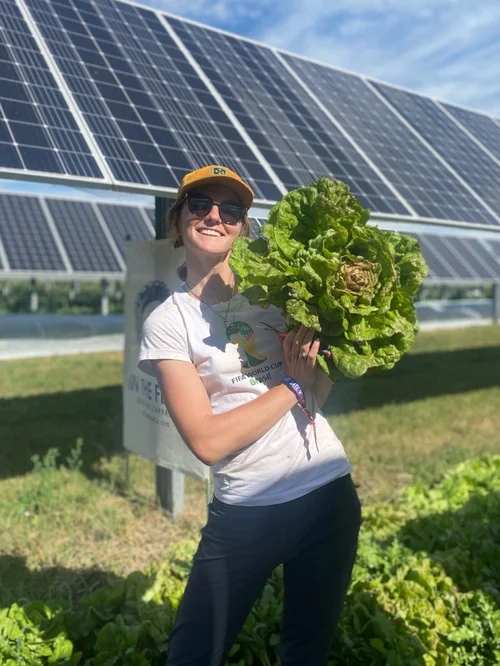 Jack's Solar Farm — Sprout City Farms