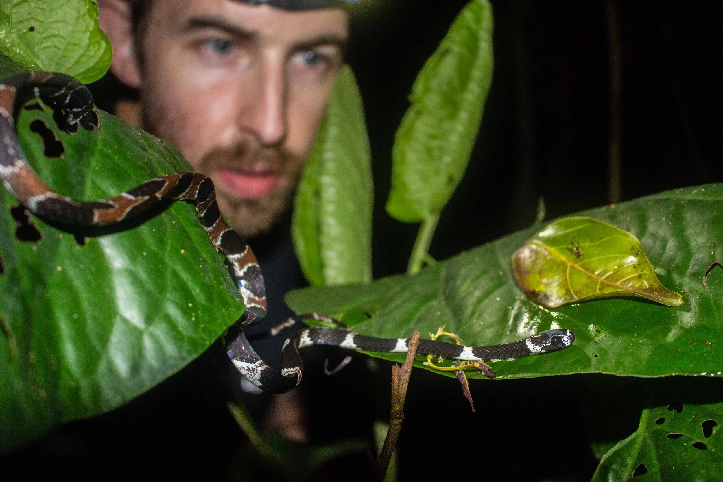 On Stage — HUW JAMES