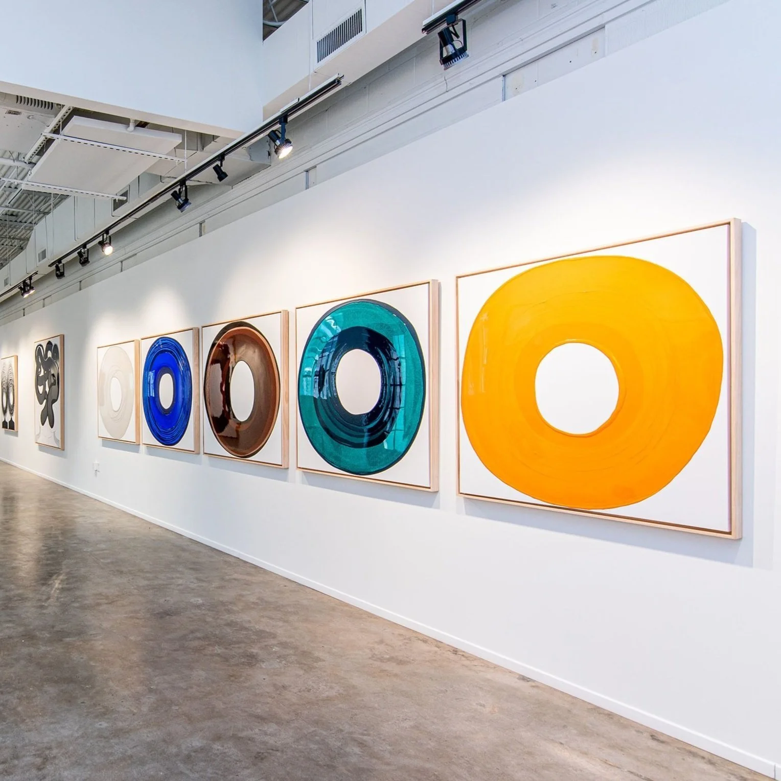 Exhibitions — TED COLLIER ART