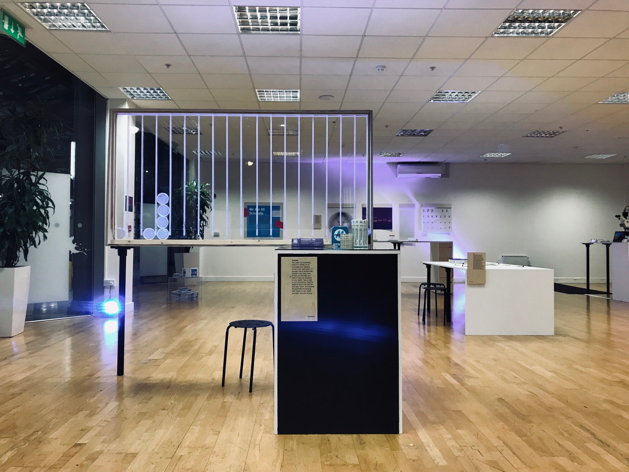 Portfolio of graphic, brand and exhibition design