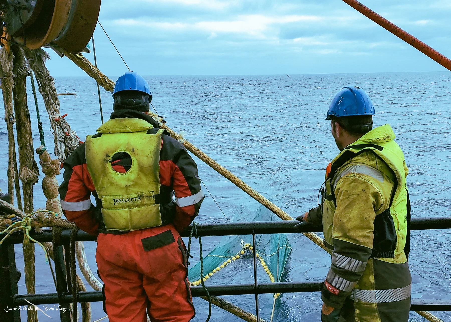 Association of Responsible Krill harvesting companies — News from ARK