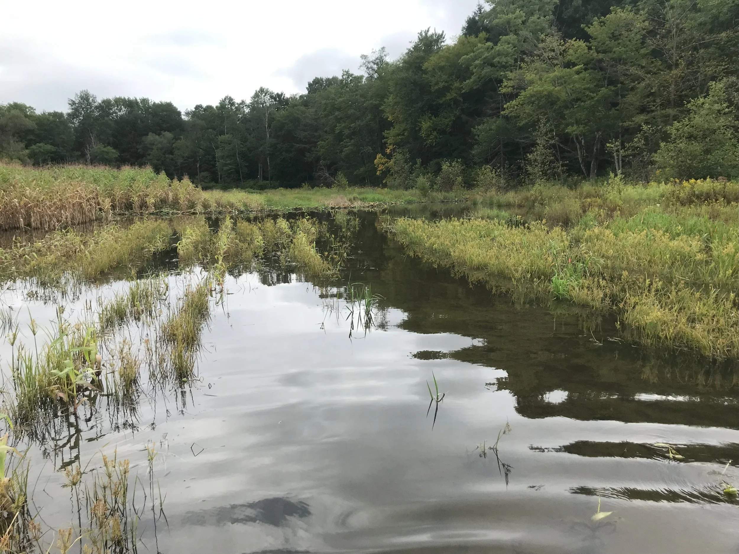 News from the Mad River Path - August, 2023 — Mad River Path