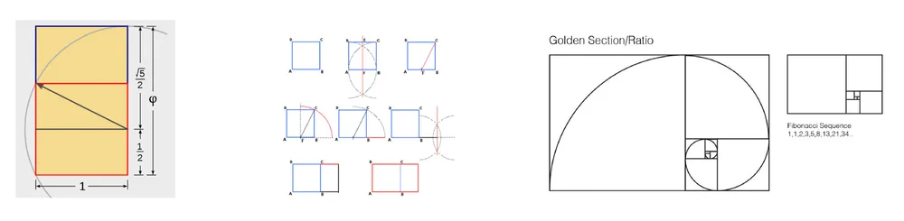 Rectangle Shape In Nature