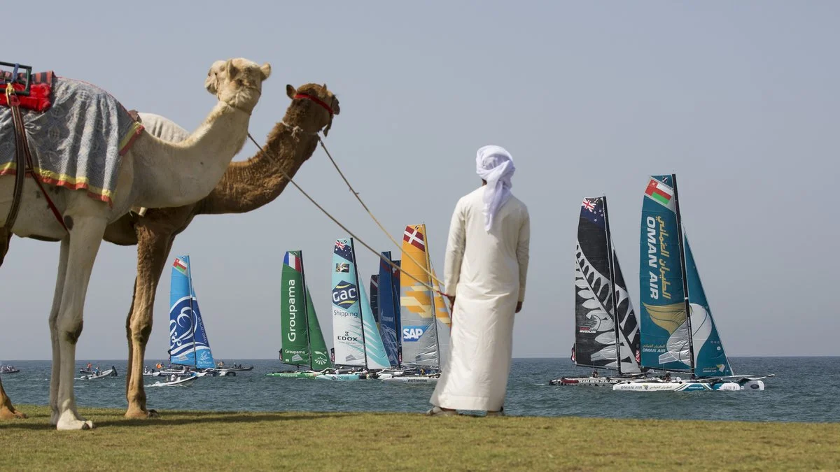 CMC&CO - Sports Investment Strategy